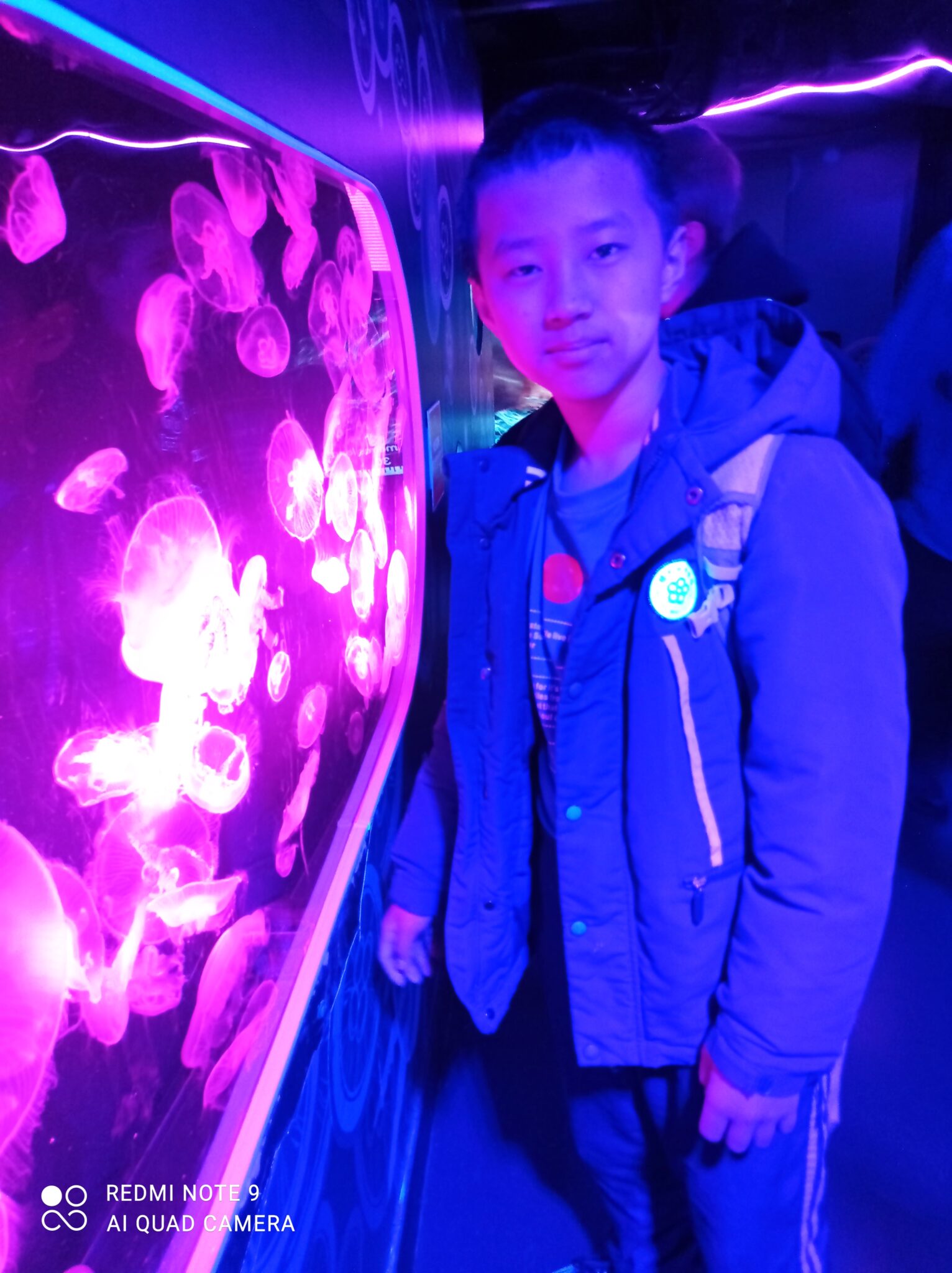 St Lawrence College Independent School | Junior Boarding Blog – January ...