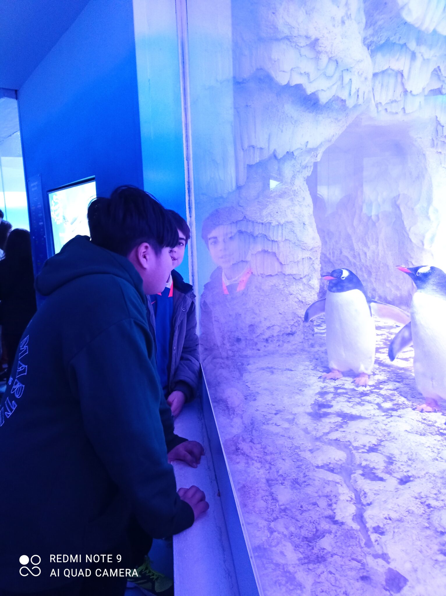 St Lawrence College Independent School | Junior Boarding Blog – January ...