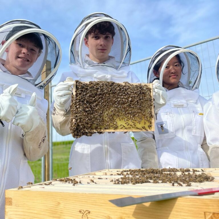 St Lawrence College Independent School | Beekeeping Programme • St ...